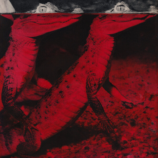 No Dub by Trans Upper Egypt (Album, Krautrock): Reviews, Ratings ...