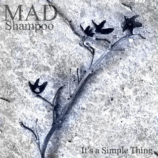 It's a Simple Thing by MAD Shampoo (Single): Reviews, Ratings, Credits ...
