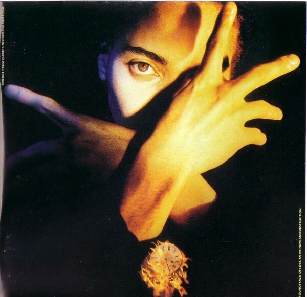 Review for Neither Fish Nor Flesh - Terence Trent D'Arby by fairyeee ...