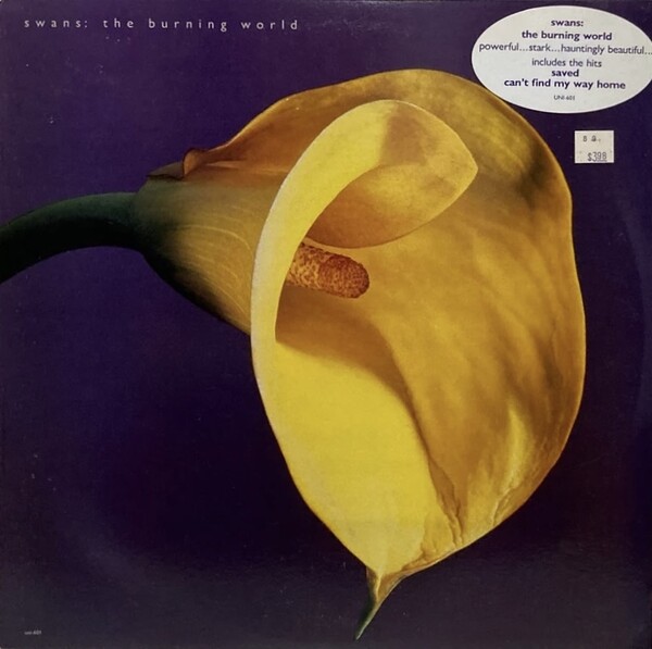 Swans - Let It Come Down - Lyrics and ratings - Rate Your Music