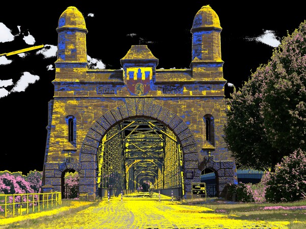 ️The ALBUM Raters - Rate Your Music