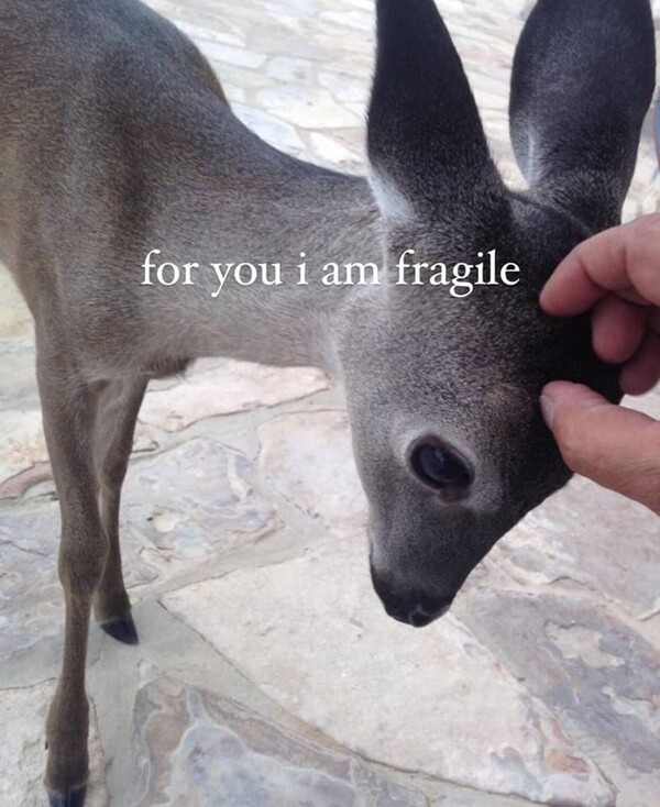 tears - Rate Your Music