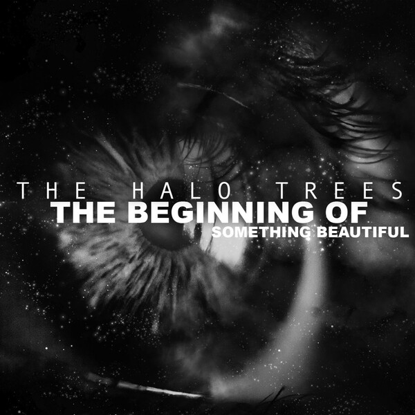 The Beginning of Something Beautiful by The Halo Trees (Single ...