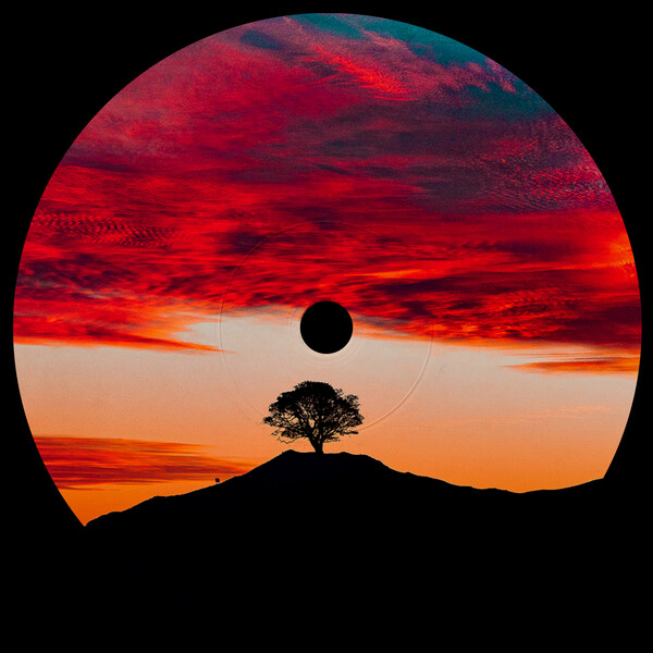 Camelot by Duke Boara (Single): Reviews, Ratings, Credits, Song list ...