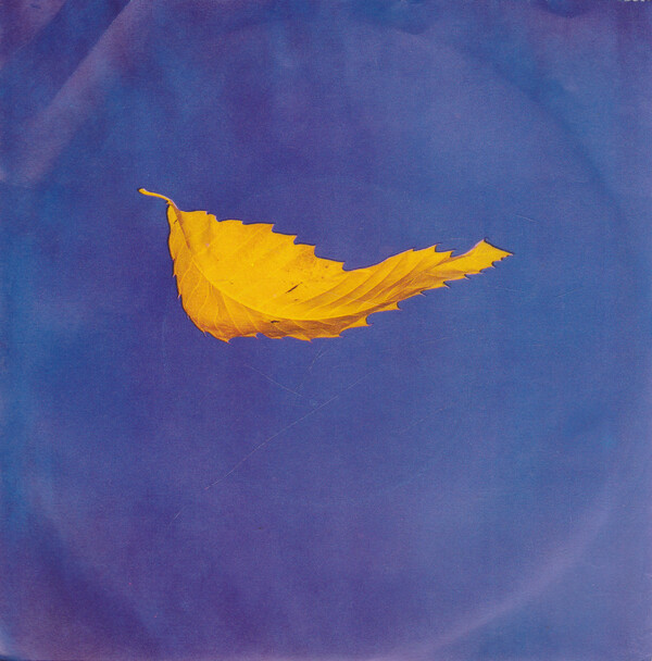 New Order - True Faith - Lyrics and ratings - Rate Your Music