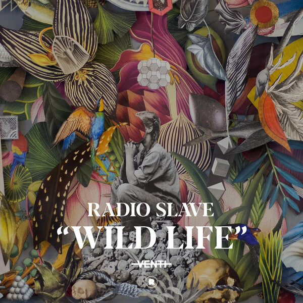 Wild Life by Radio Slave (Single; Rekids; REKIDS222): Reviews, Ratings ...