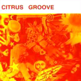 Mesmerized / Merry Go Round by Citrus Groove (Single): Reviews, Ratings ...