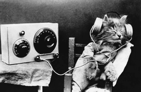 Music to listen to - Rate Your Music