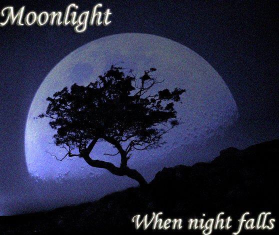 Moonlight Requiem Albums: songs, discography, biography, and listening guide - Rate Your Music