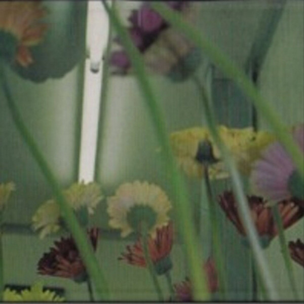 Dark Age, Certificateless Justness by Yam Man (Album): Reviews, Ratings ...