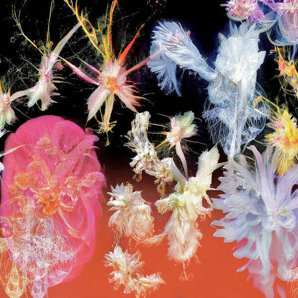 Lili by Doon Kanda (Album, Epic Collage): Reviews, Ratings, Credits ...