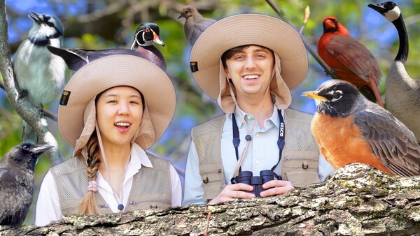 We Like Watching Birds by Karen Han & Brian David Gilbert (Music video, Musical Comedy): Reviews ...