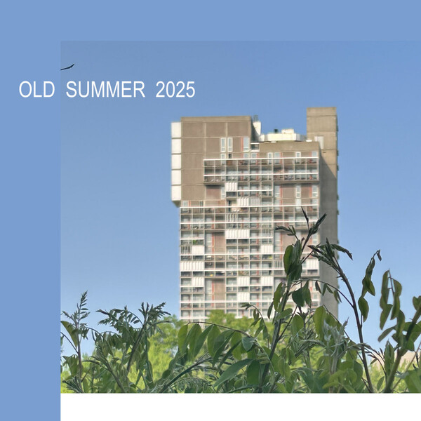 Old Summer 2025 by Jacob Schwartz (Album): Reviews, Ratings, Credits ...