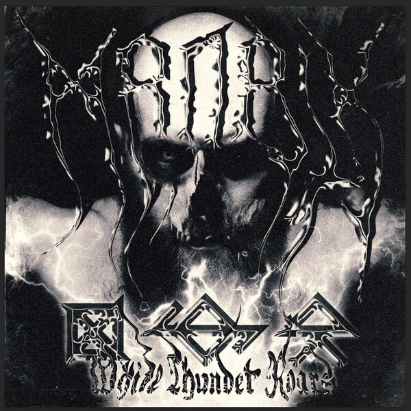 White Thunder Roars (Temnozor Cover) by M8L8TH (Single, EBM): Reviews ...