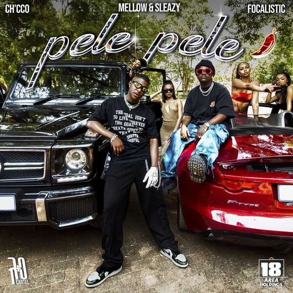 Pele Pele by Ch'cco, Focalistic & Mellow & Sleazy (Single, Amapiano ...
