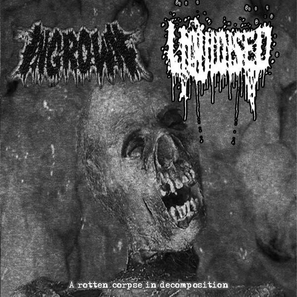 A Rotten Corpse in Decomposition by Ingrown / Liquidised (Album ...