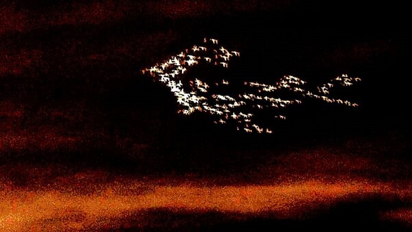 Aspirant by Wormb (Album): Reviews, Ratings, Credits, Song list - Rate ...