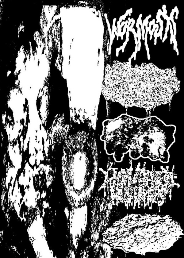 Wormosis / Human Stench Rests in the Morgue / Fetus Demerus / Liquified ...