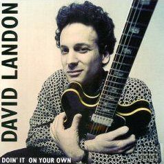 Doin' It on Your Own by David Landon (Album): Reviews, Ratings, Credits ...