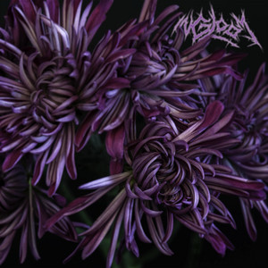 In Gloom Albums: songs, discography, biography, and listening guide ...