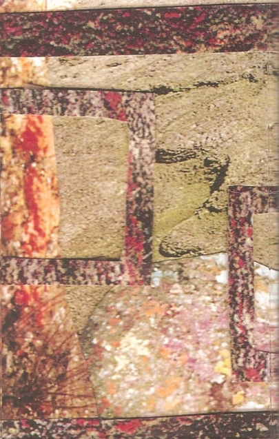 Tonal Murmurs / Forest Landscape by Derek Rogers (Album): Reviews ...