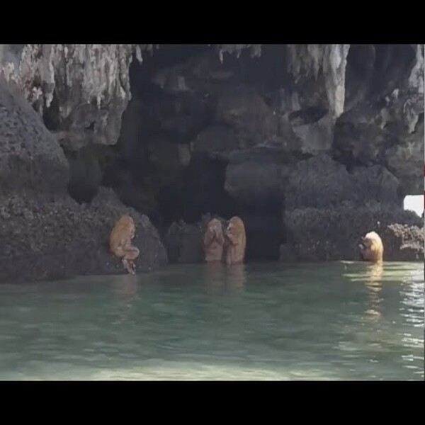 №99.49: These Brothers Were Eavesdropping on Space Transmissions When They Heard Cries for Help ...