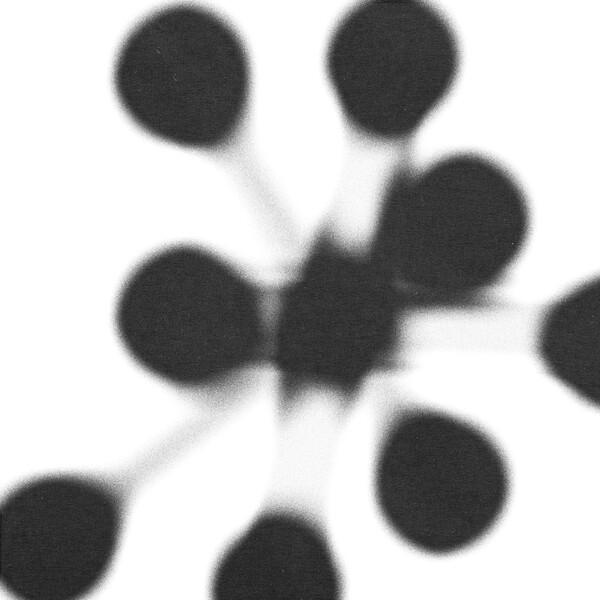 Deterritorialized Club - Rate Your Music