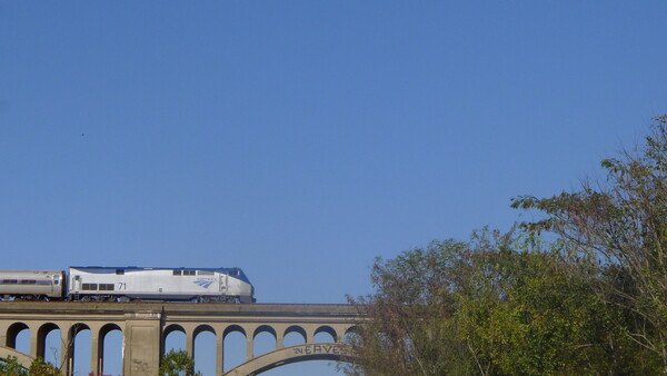 new albums 2025 - Rate Your Music