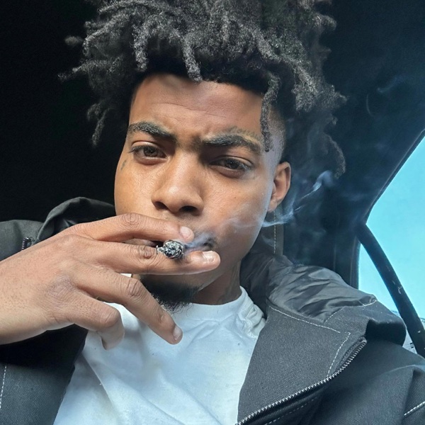 Money Trees by LAZER DIM 700 (Single, Cloud Rap): Reviews, Ratings ...