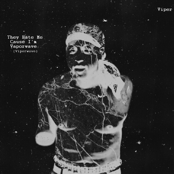They Hate Me Cause I'm Vaporwave (Viperwave) by Viper (Album; n/a; n/a ...