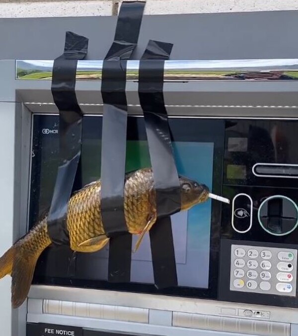 this is a list of my top 50 albums ever. - Rate Your Music