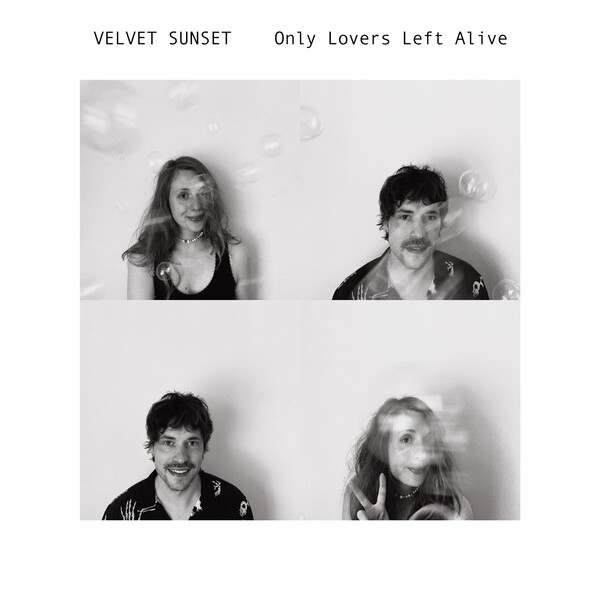 Velvet Sunset Albums: songs, discography, biography, and listening ...