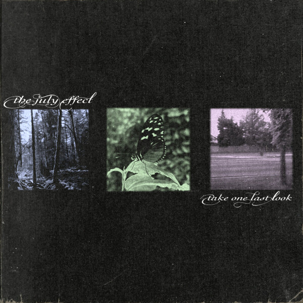 Take One Last Look by The July Effect (EP): Reviews, Ratings, Credits ...