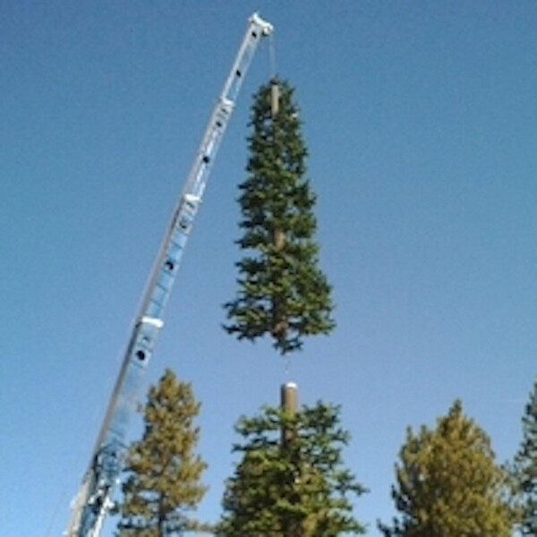 Americana by DJ Lucas (Album, Trap): Reviews, Ratings, Credits, Song ...