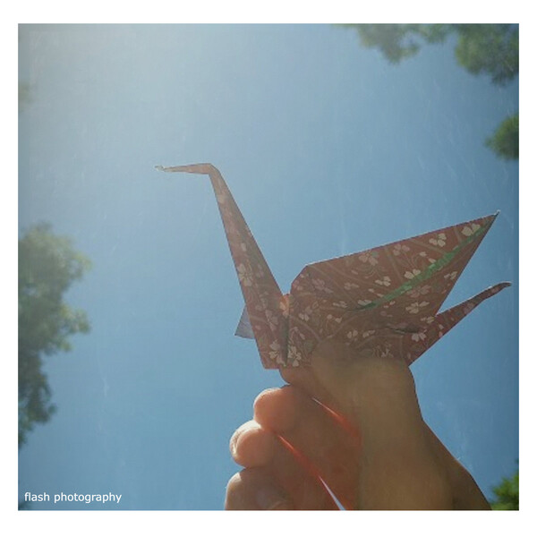 Flash Photography Albums: songs, discography, biography, and listening ...