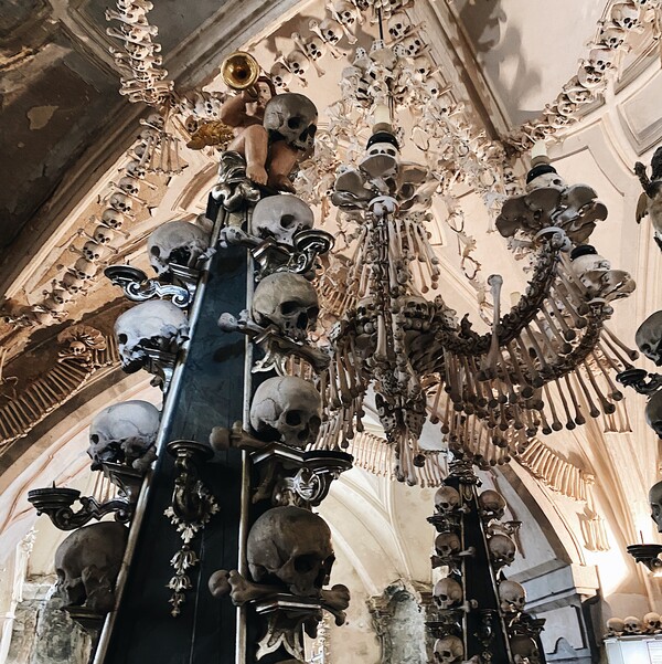 I AM BEING WATCHED by Rx Cowboy & Normal Writing (Album): Reviews ...