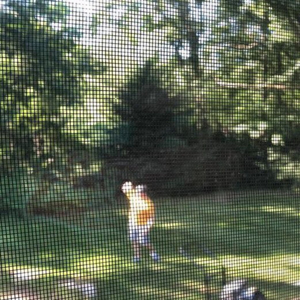 Balloonfest '86 Albums: songs, discography, biography, and listening ...