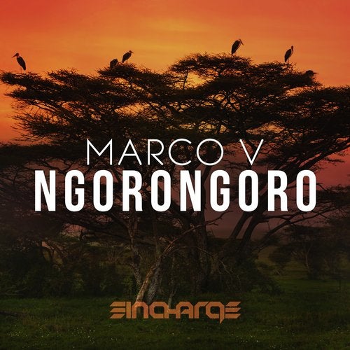 Ngorongoro by Marco V (Single): Reviews, Ratings, Credits, Song list ...