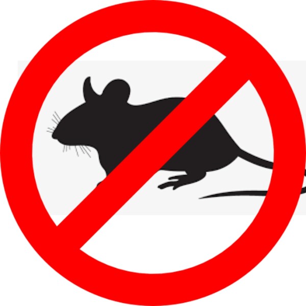 Rat Repellent by Ultrasonic Pest Repeller Single Glitch Reviews Ratings Credits Song list Rate Your Music