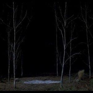 Oak Tree by Tacxin & Letty (Single, Jazz Rap): Reviews, Ratings ...