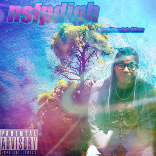 NSFPDIGH (Based Freestyle Album) by Blizzi Boi (Mixtape, Hip Hop ...