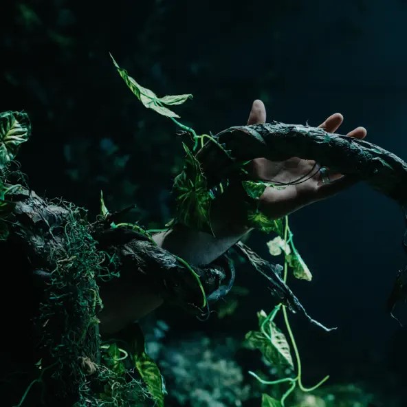 Stray View Albums: songs, discography, biography, and listening guide ...