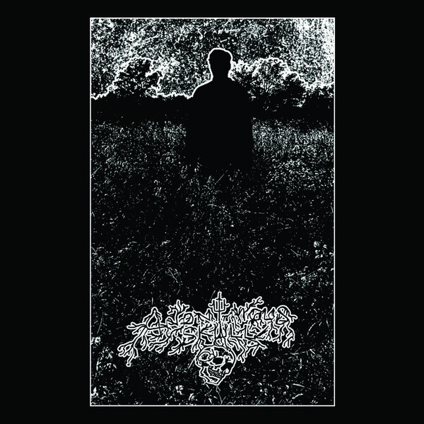 Anonymous Skull Albums: songs, discography, biography, and listening ...