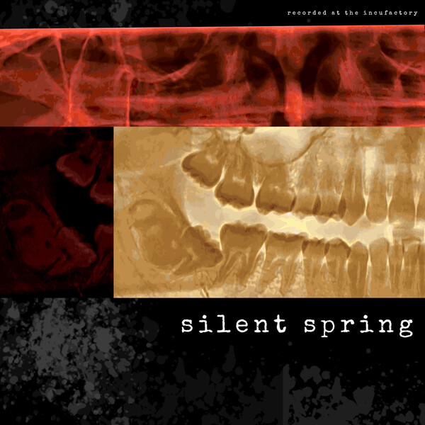 Silent Spring Albums: songs, discography, biography, and listening ...