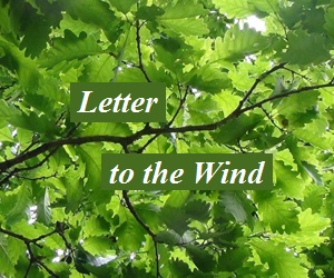 Letter to the Wind by David and Shekinah (Album): Reviews, Ratings ...