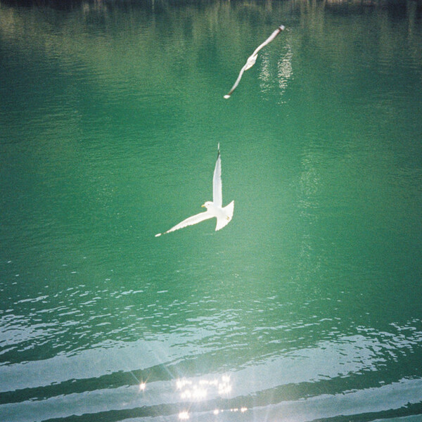 2023 - Rate Your Music