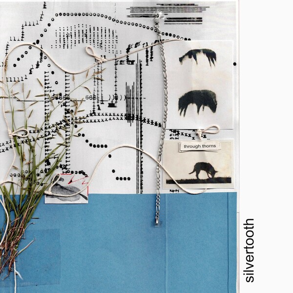 Through Thorns by Silvertooth (EP, Emo): Reviews, Ratings, Credits ...