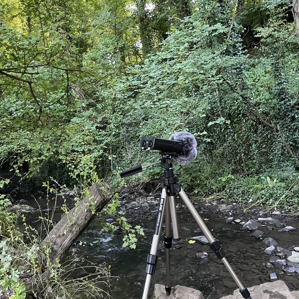 Field Recording Adventures - Rate Your Music