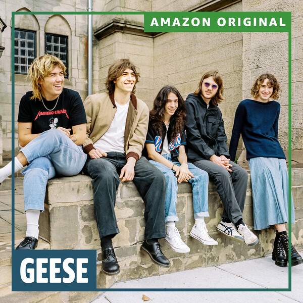 Geese Albums: songs, discography, biography, and listening guide - Rate ...