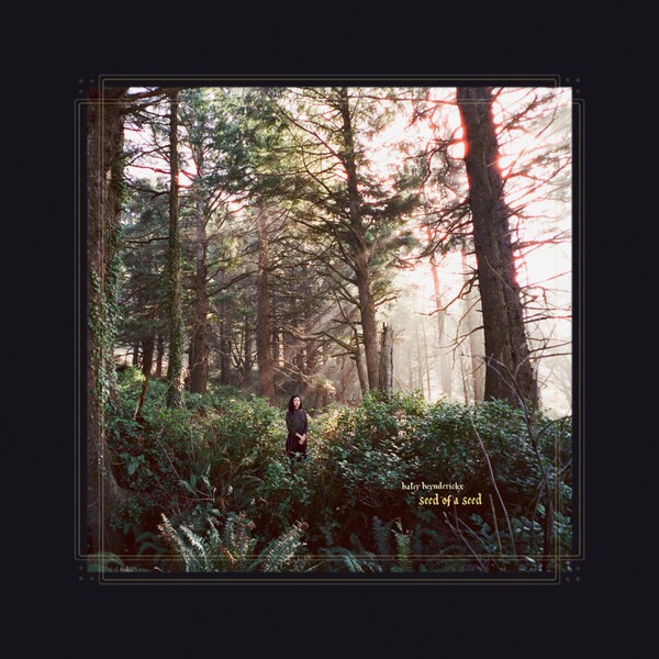 Seed of a Seed by Haley Heynderickx (Album, Singer-Songwriter): Reviews ...